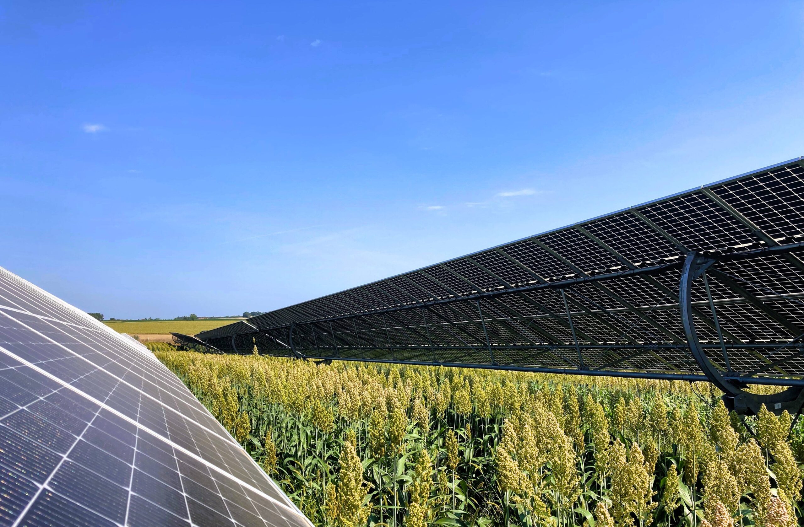 Actualités | FFPA | Fédération Française des Producteurs Agrivoltaïques